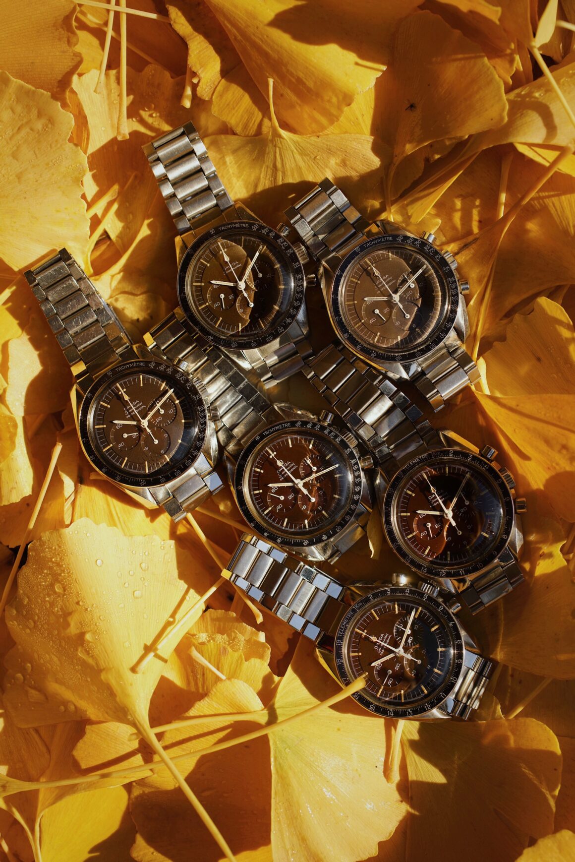 Chocolate Dials – The Master of Speed