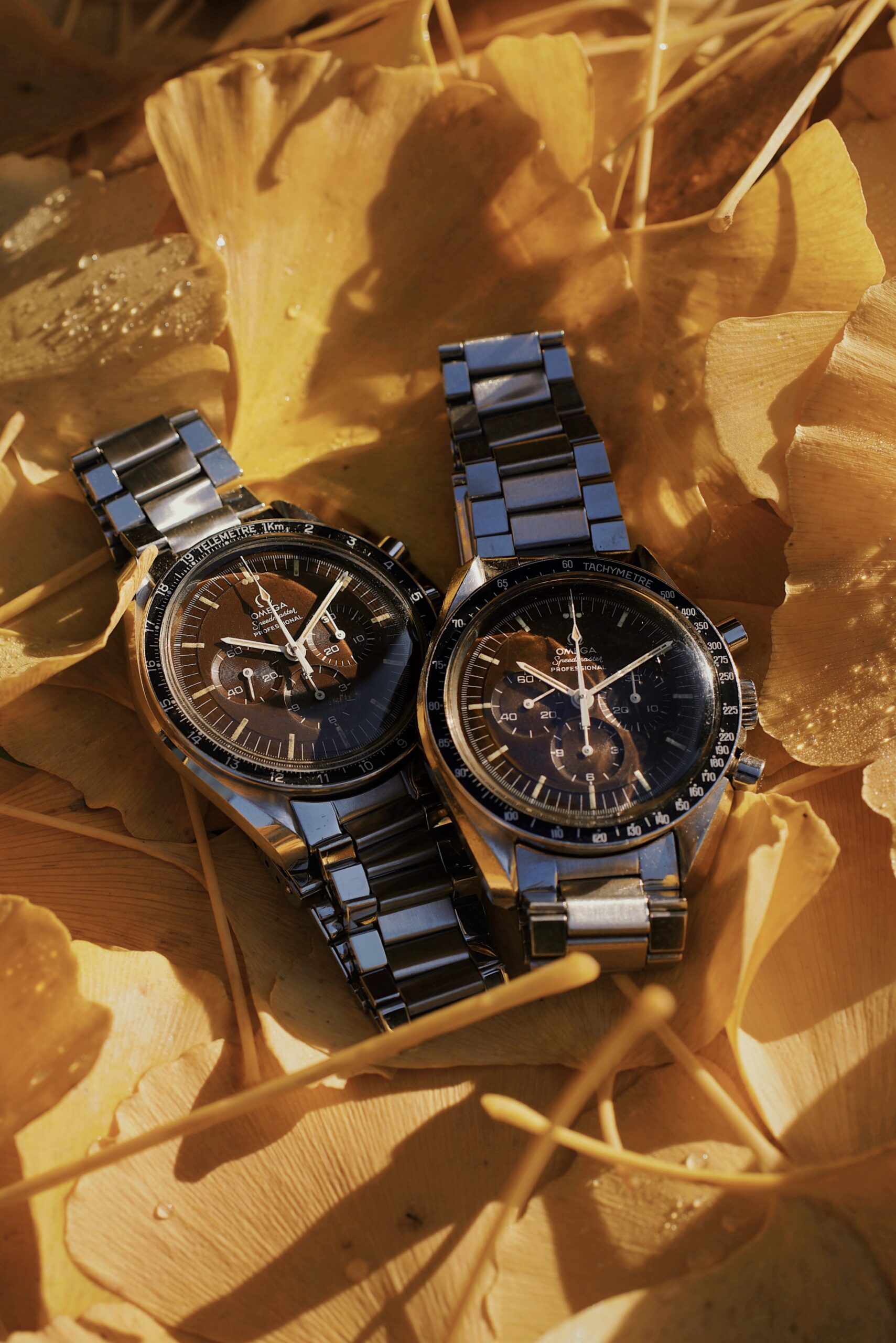 Chocolate Dials – The Master of Speed